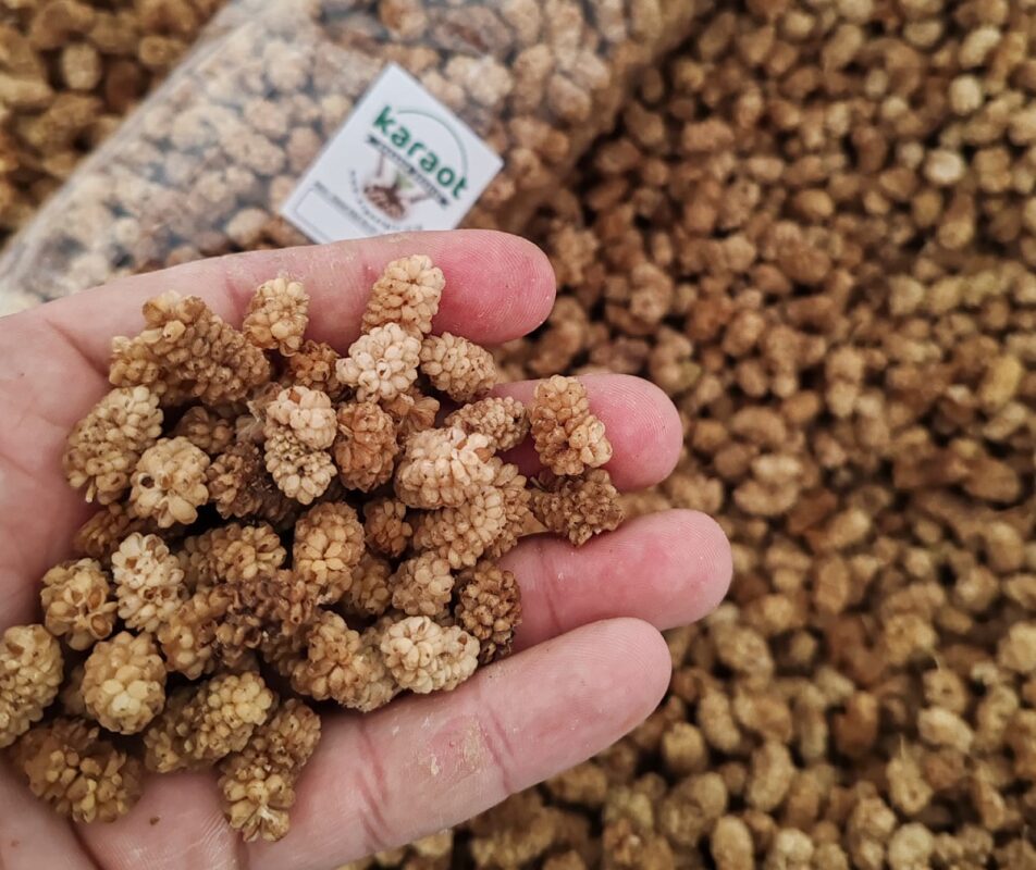 Beyaz Dut Kurusu 500gr - KARAOT KÖYÜ GELENEKSEL ÜRÜNLERİ